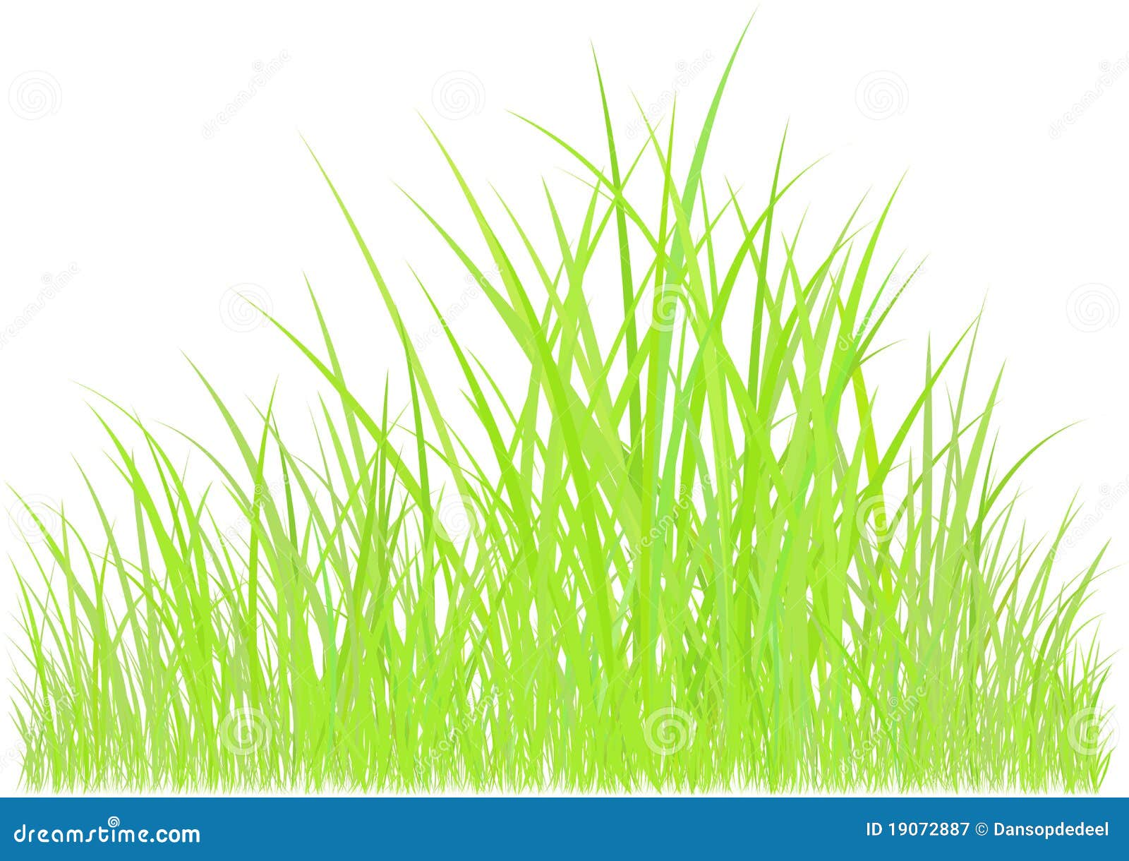 Green grass graphic stock vector. Illustration of summer - 19072887