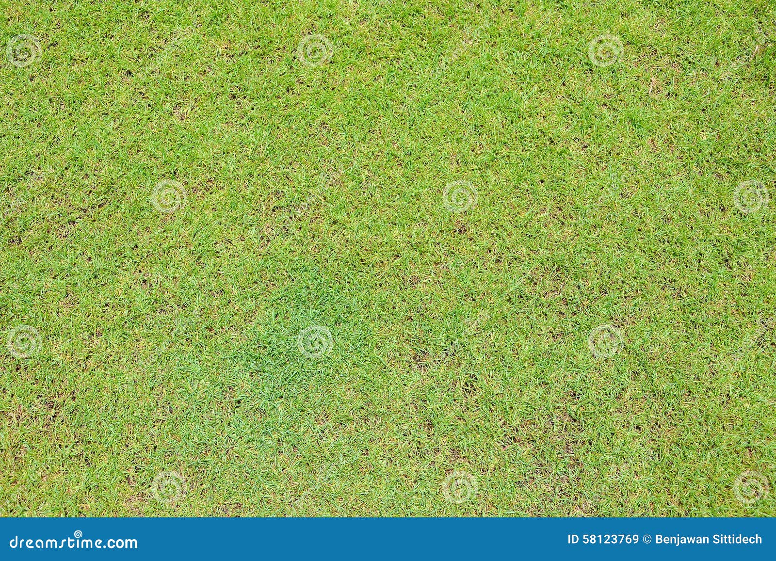 Green Grass on Ground Texture Background Stock Image - Image of pattern ...