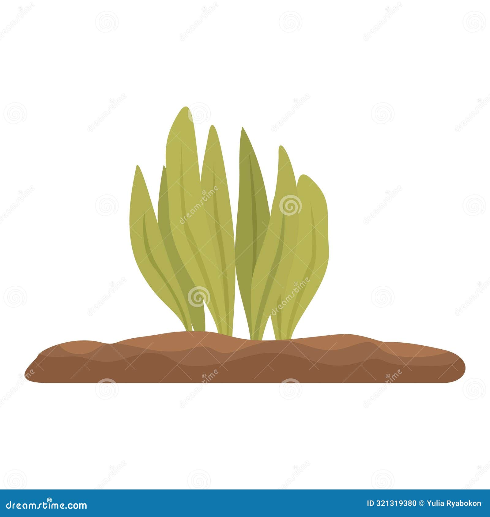 Green Grass Growing From The Ground On White Background Stock Vector Illustration Of Garden