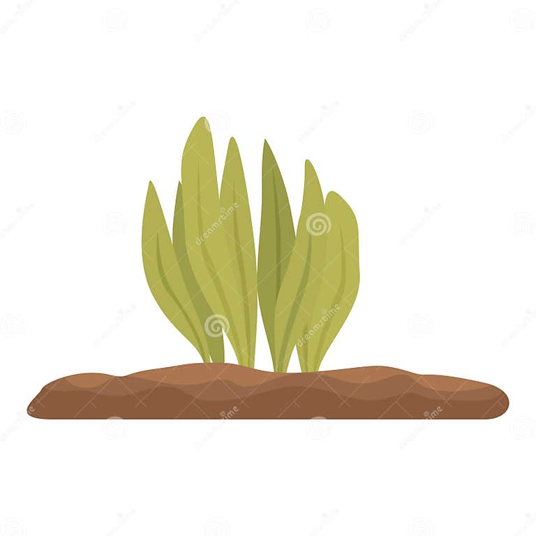 Green Grass Growing From The Ground On White Background Stock Vector Illustration Of Garden