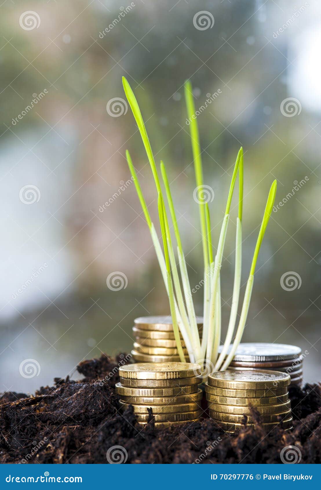 Green Grass Growing among Stacks of Coins Stock Photo - Image of grass ...