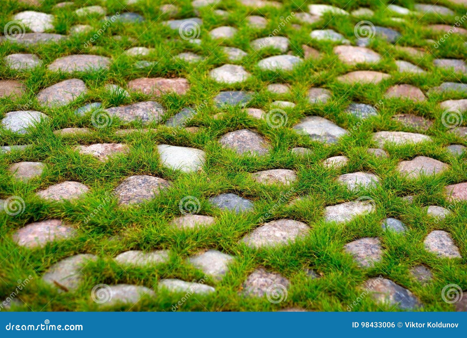 Green Grass Growing through the Stone Pavement. Stock Photo - Image of ...