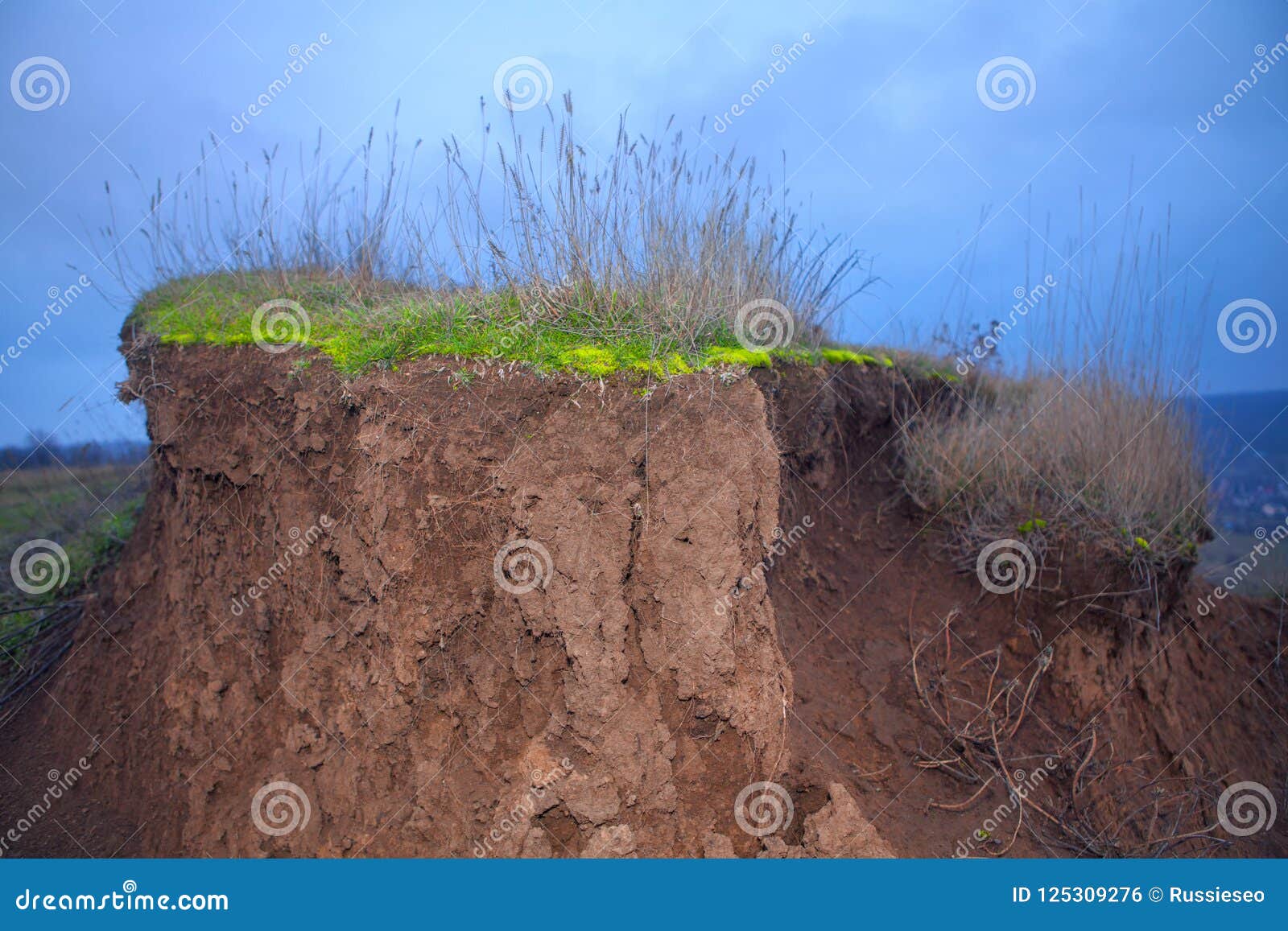 Grass growing on the hill stock photo. Image of farm - 125309276