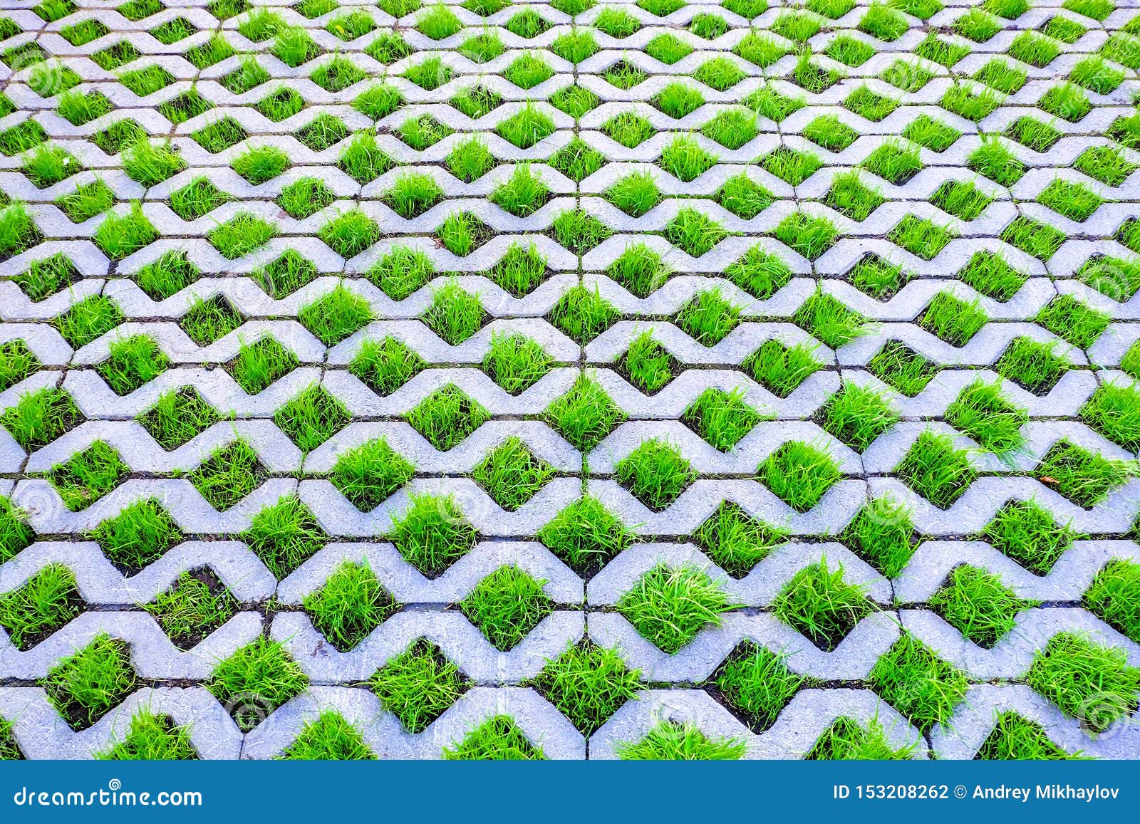Green Grass Grows from Decorative Paving Slabs Stock Photo - Image of ...