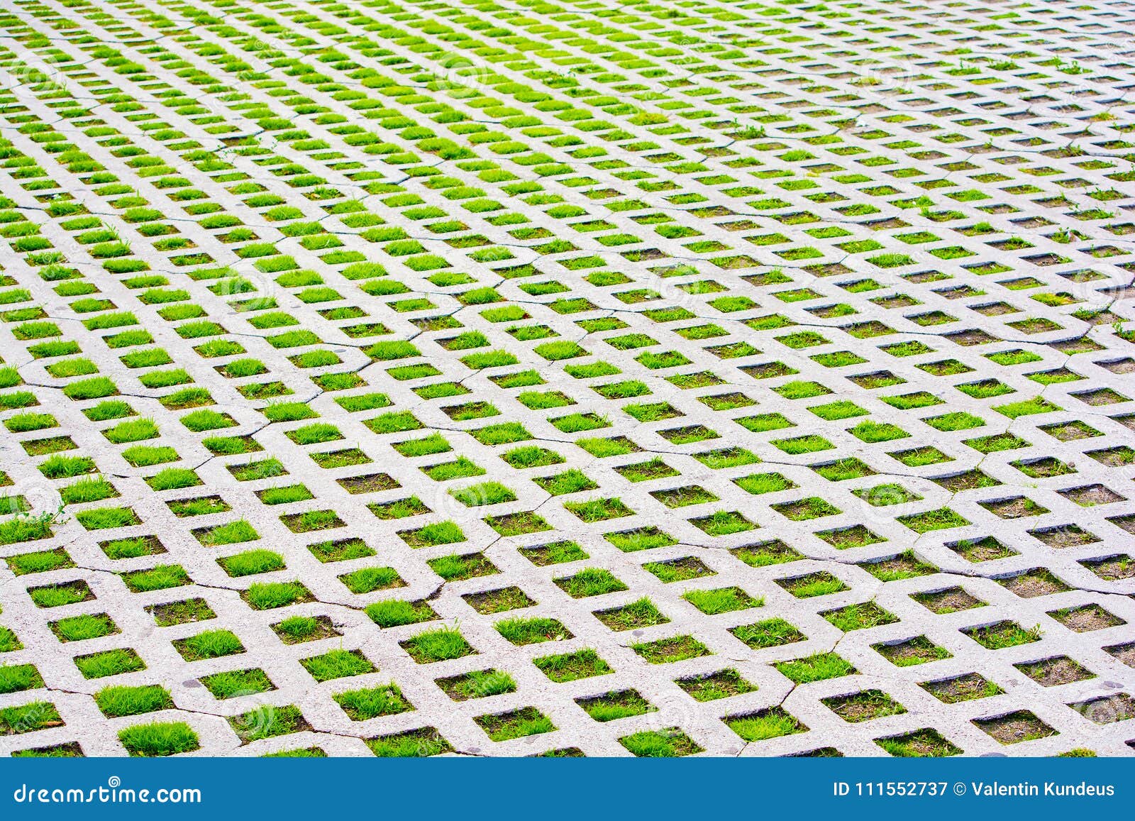 Green Grass Grows through the Tile. Stock Image - Image of architecture ...