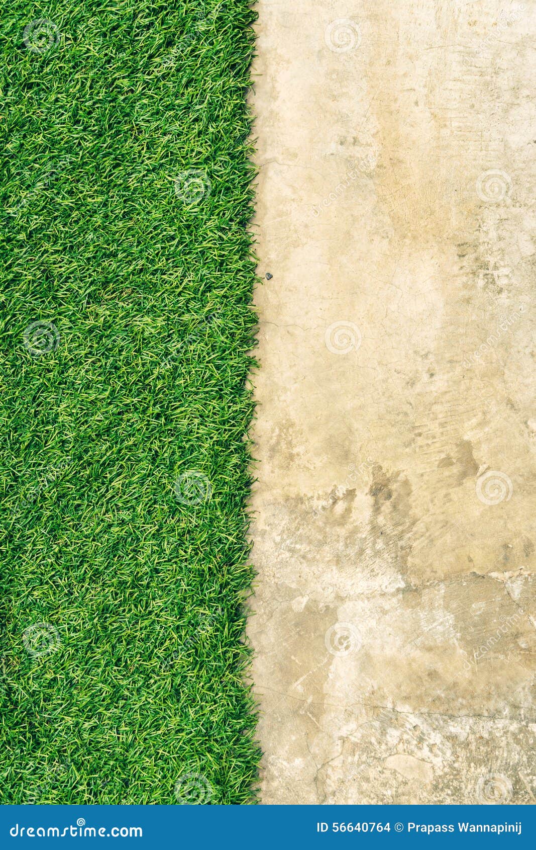 Green grass grunge cement stock photo. Image of concrete - 56640764