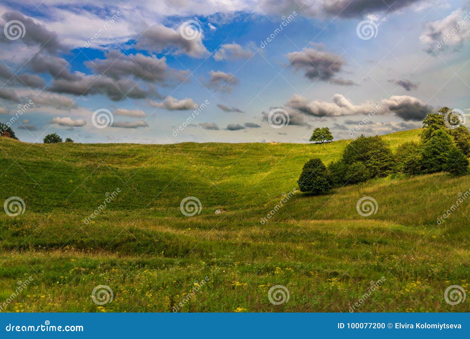 Green Grass Hill and One Tree Stock Photo - Image of landscape, farm ...