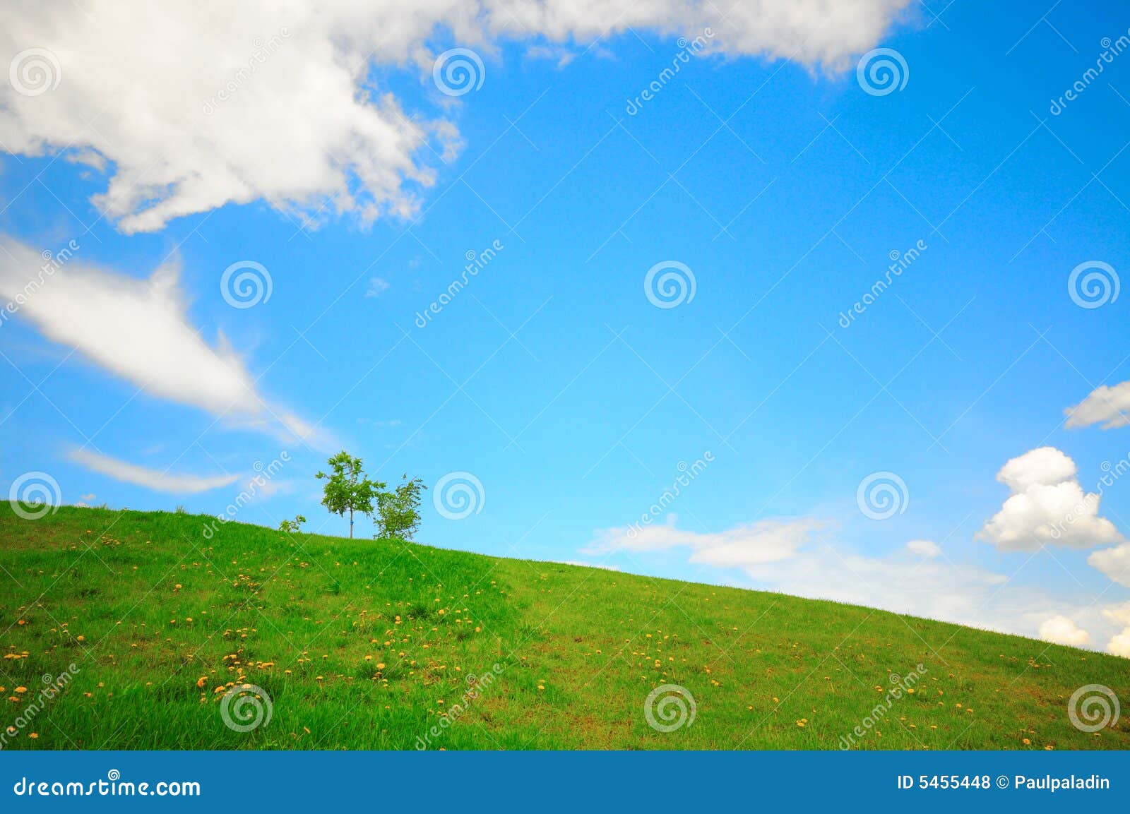 Green Grass Hill Over Blue Sky Stock Photo - Image of flores, spring ...