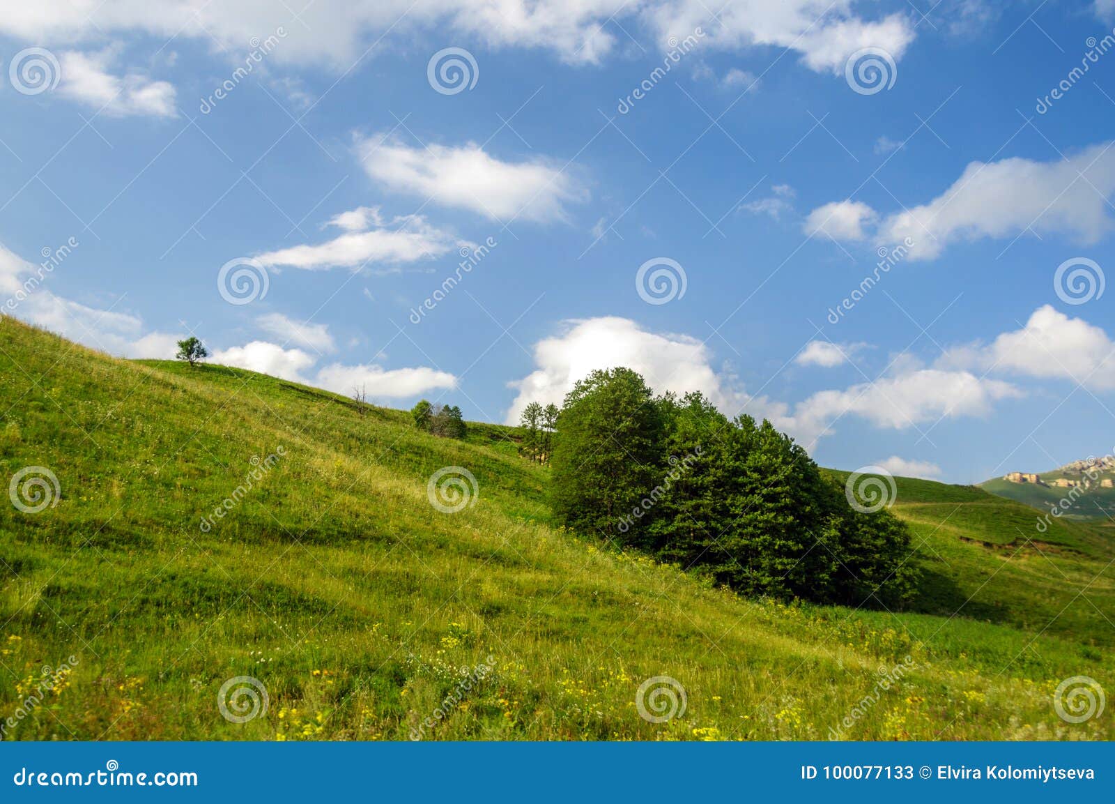 Green grass hill and trees stock image. Image of hill - 100077133