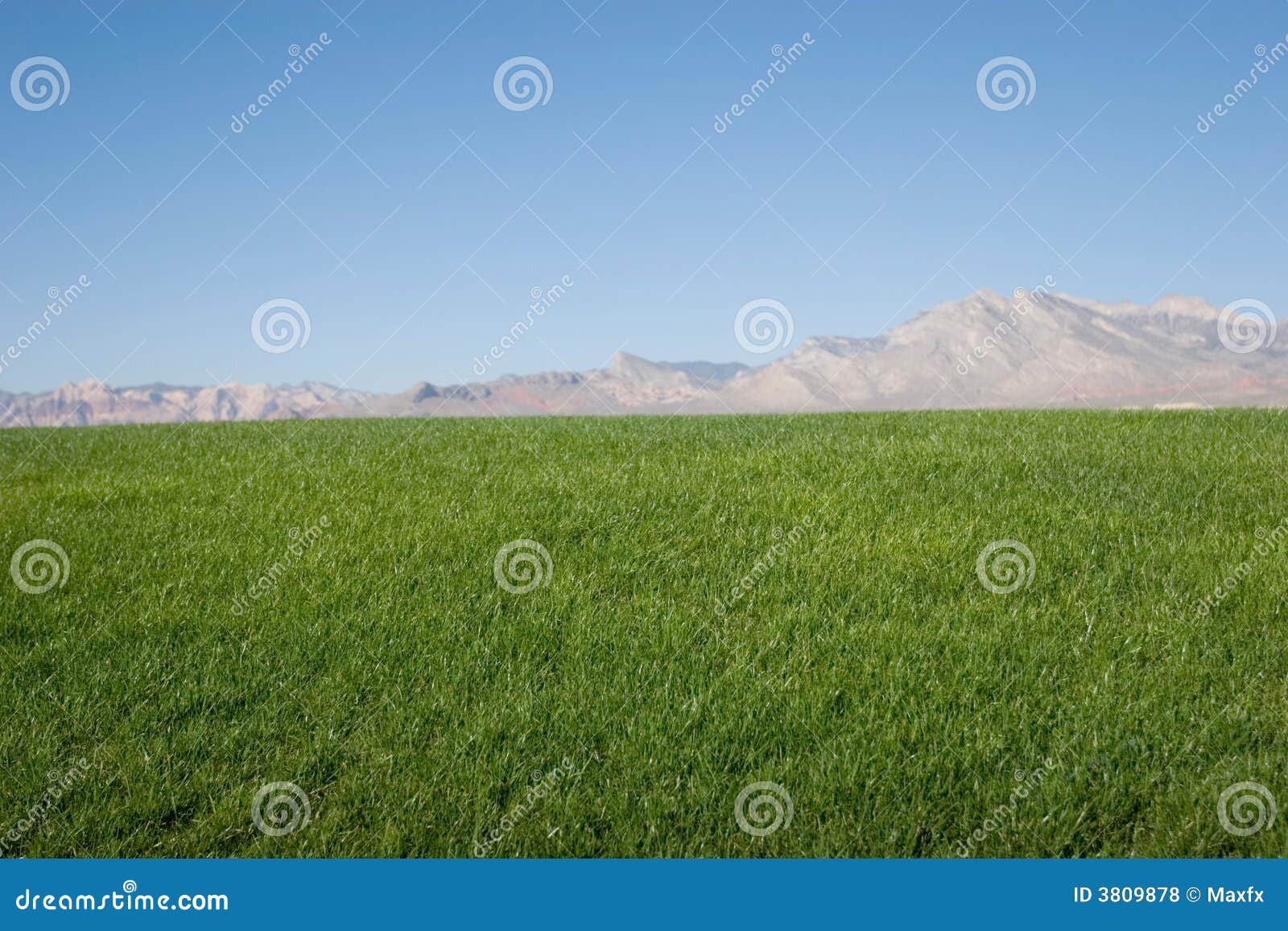 Green grass hills stock photo. Image of fresh, golf, vista - 3809878