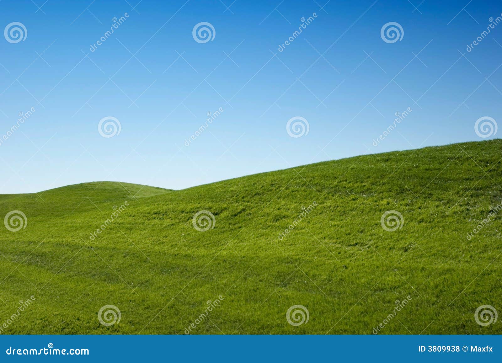 Green grass hills stock photo. Image of clean, lawn, view - 3809938