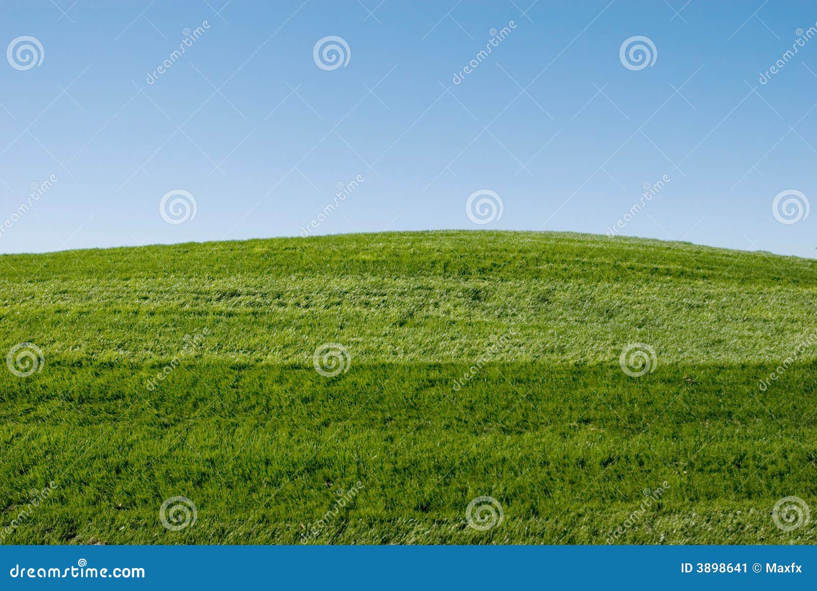 Green grass hills stock image. Image of horizon, country - 3898641
