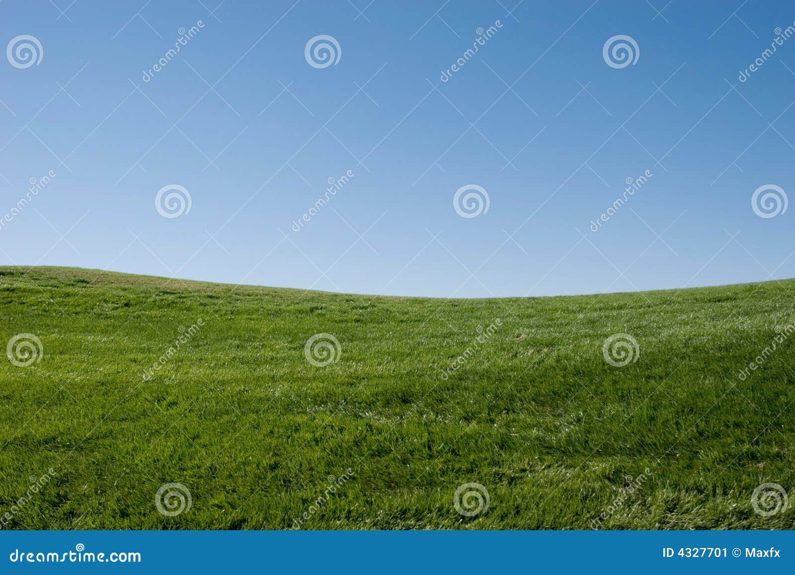 Green grass hills stock image. Image of hill, yard, horizon - 4327701