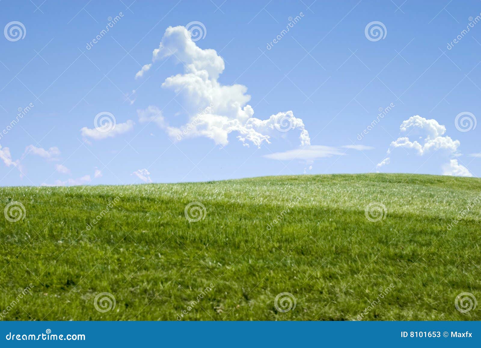 Green grass hills stock image. Image of meadow, horizon - 8101653