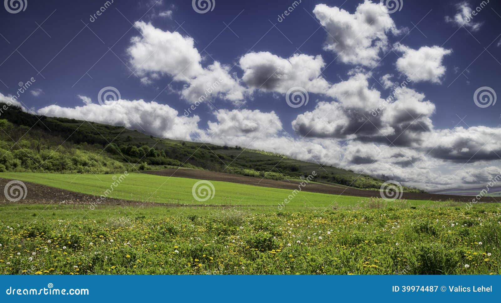 Green grass hills stock image. Image of plant, field - 39974487