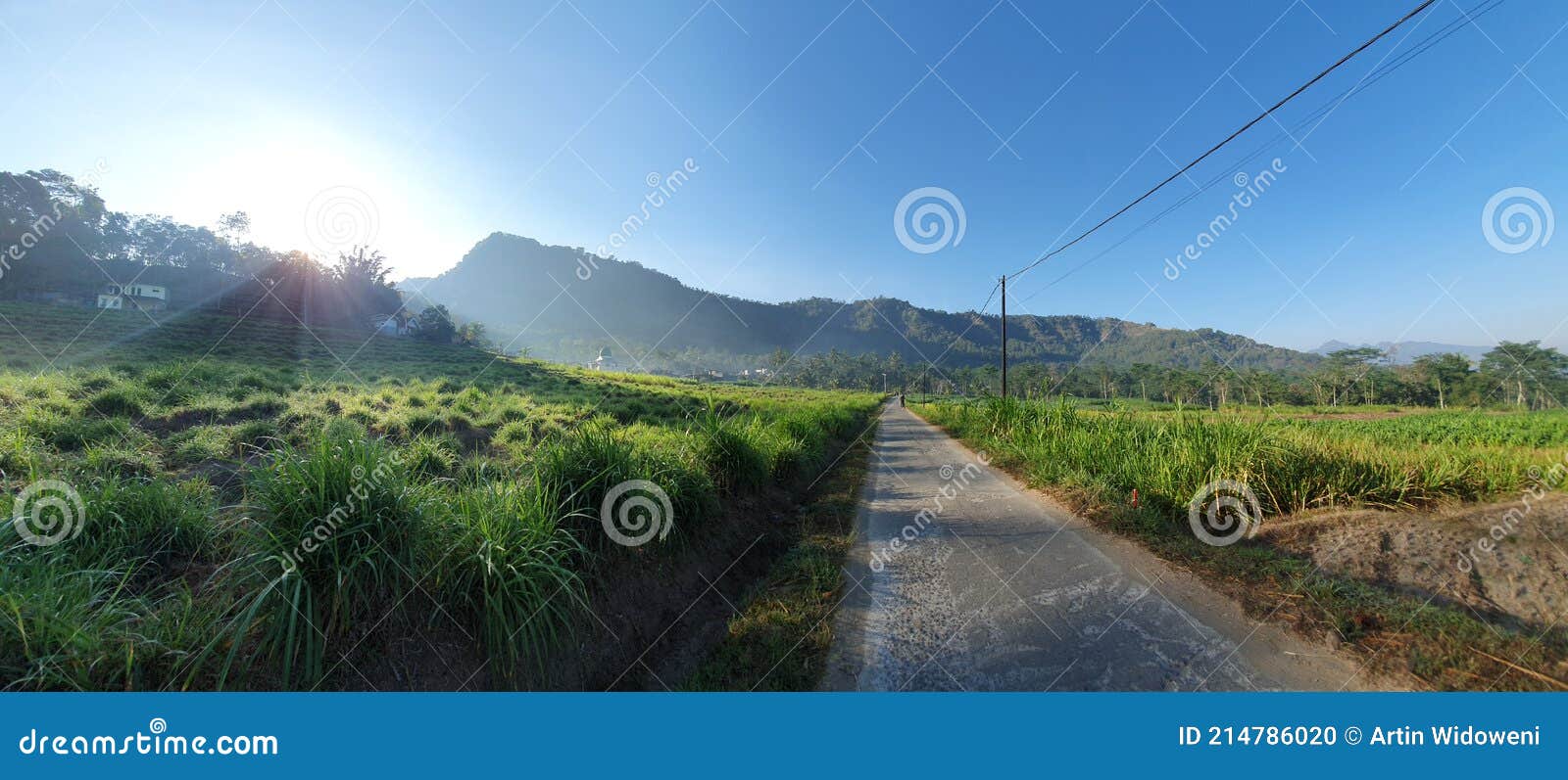 Green green grass of home stock photo. Image of mountain - 214786020