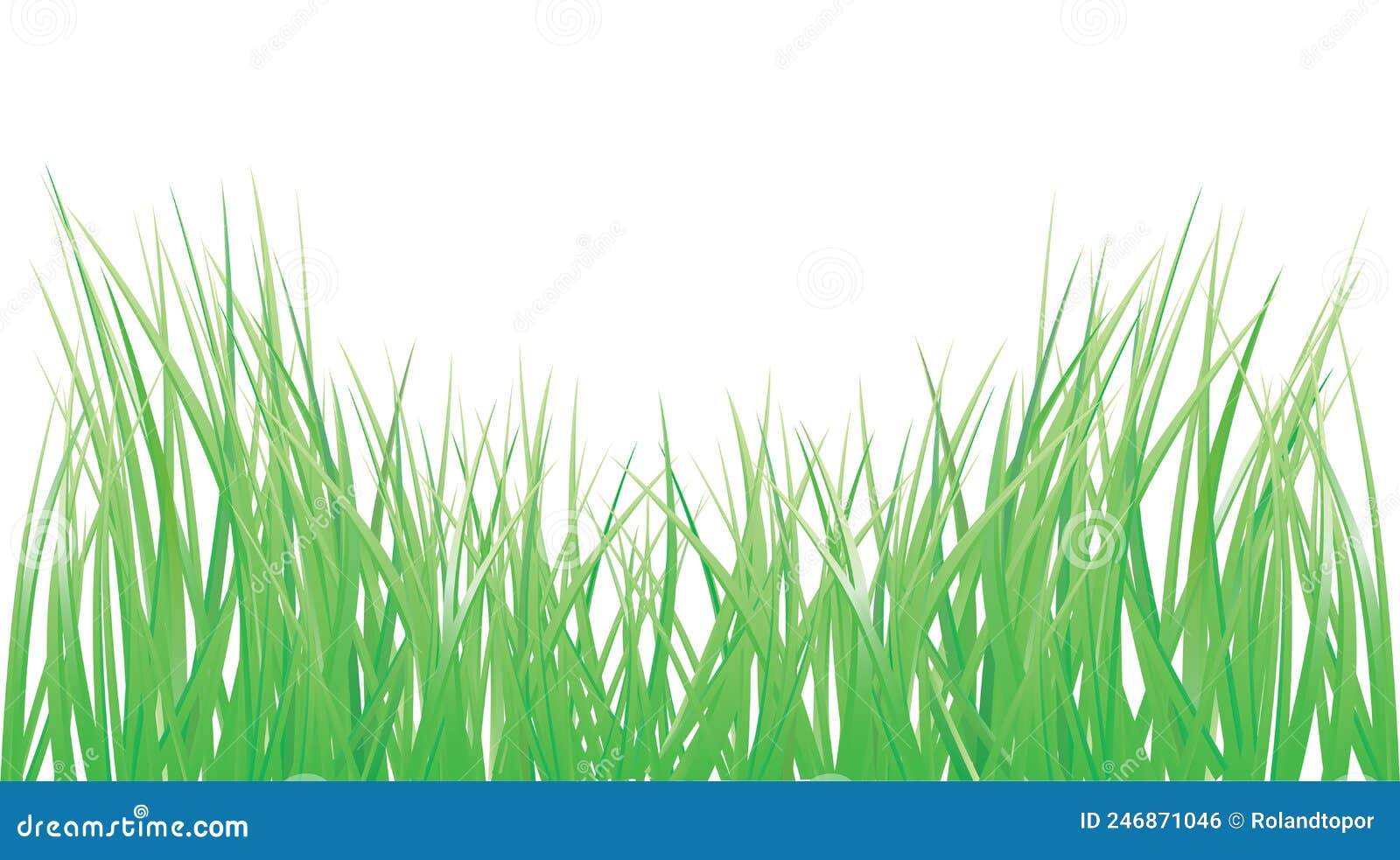 Green Grass in Horizontal. Outline EPS Stock Illustration ...