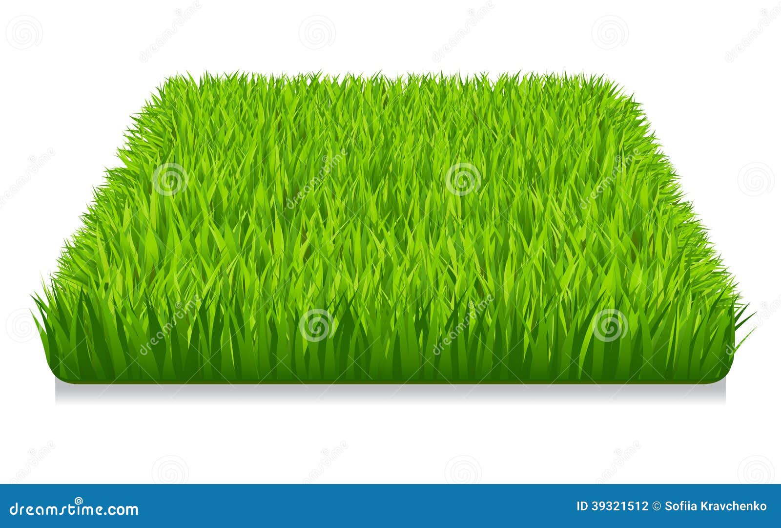 Green Grass Stock Vector - Image: 39321512
