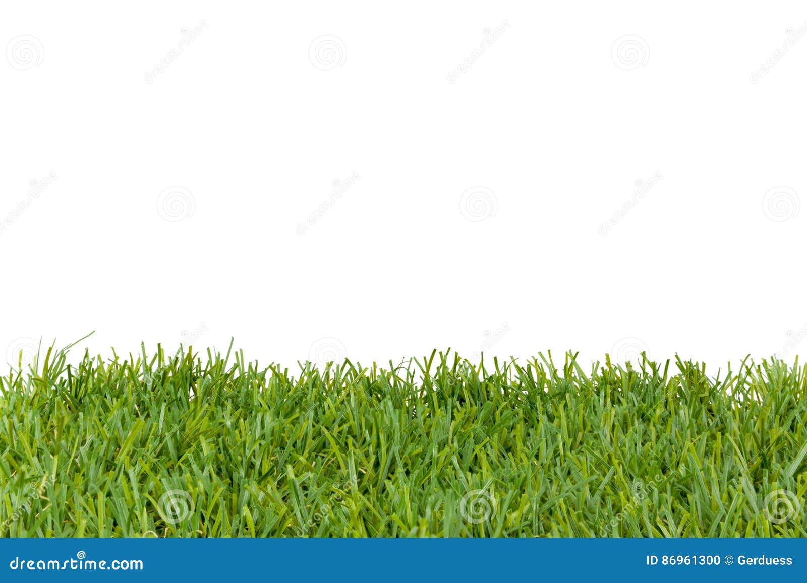 Green Grass Isolated on White Stock Photo - Image of color, fresh: 86961300