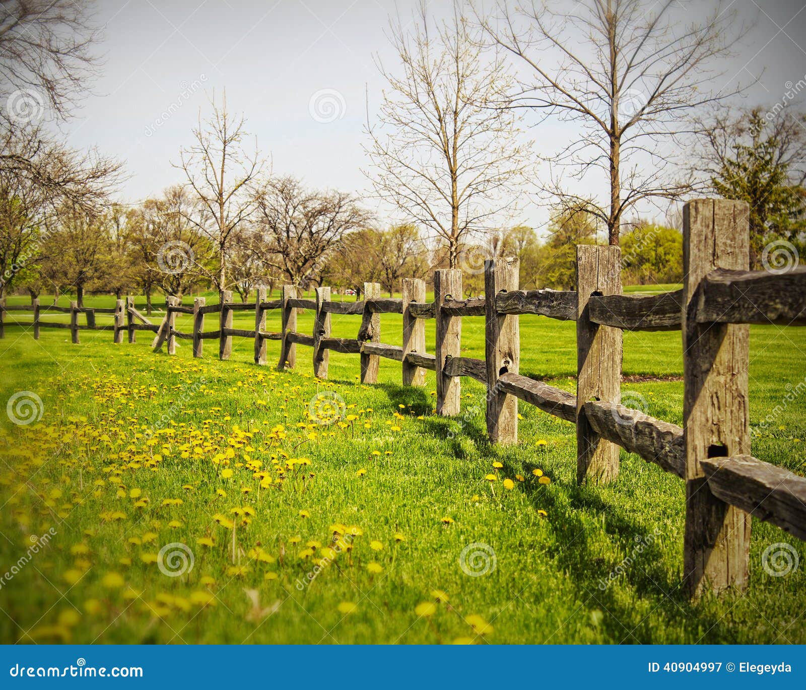 Green Grass Landscape Stock Image Image Of Botany Land 40904997