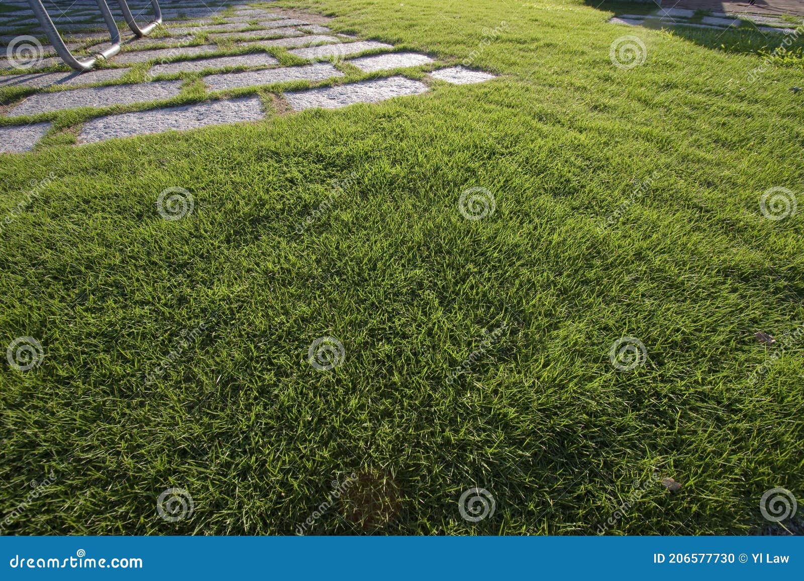 Green Grass Landscape, Path through the Park Stock Photo - Image of ...