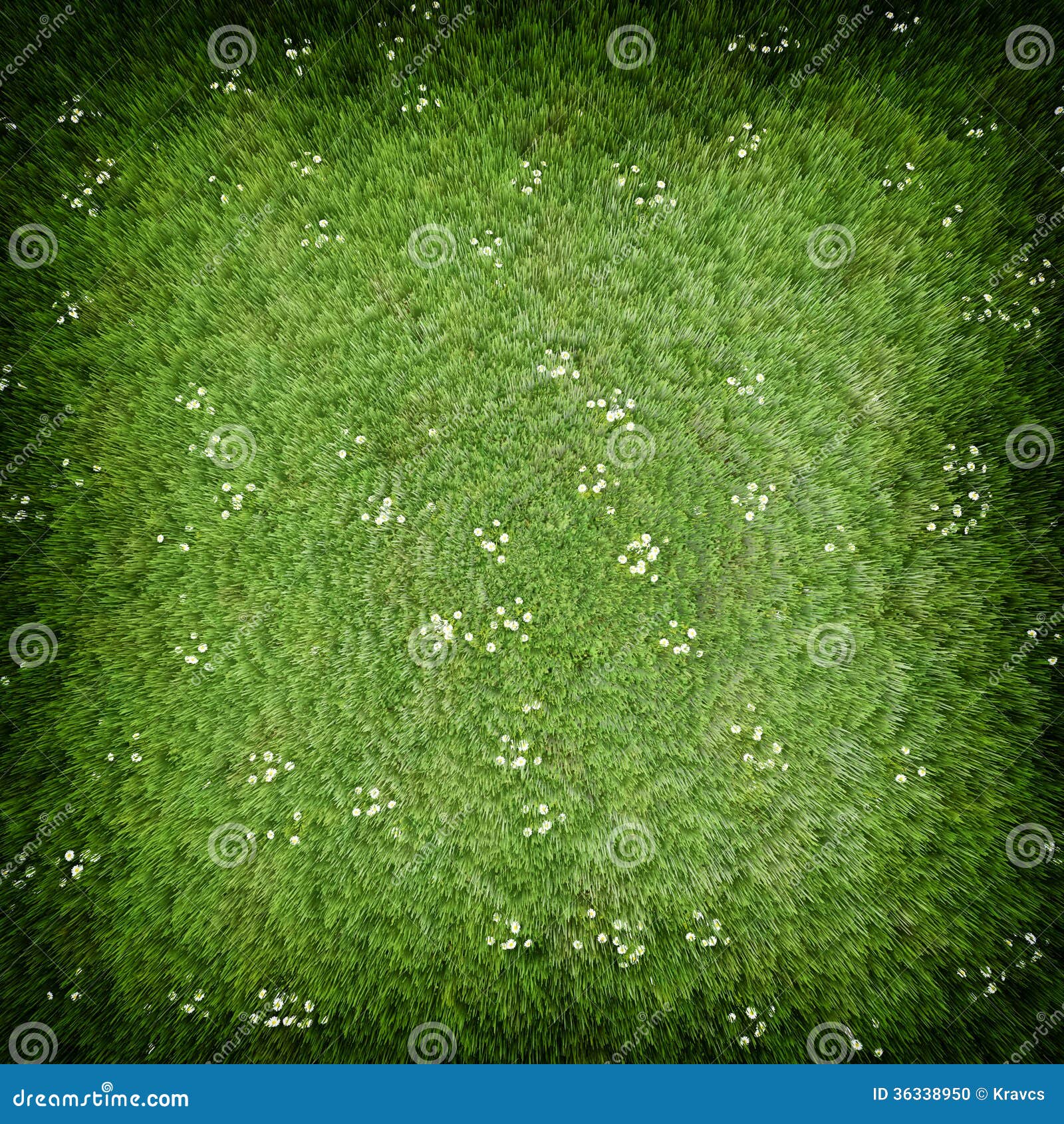Green grass lawn stock photo. Image of meadow, nature - 36338950