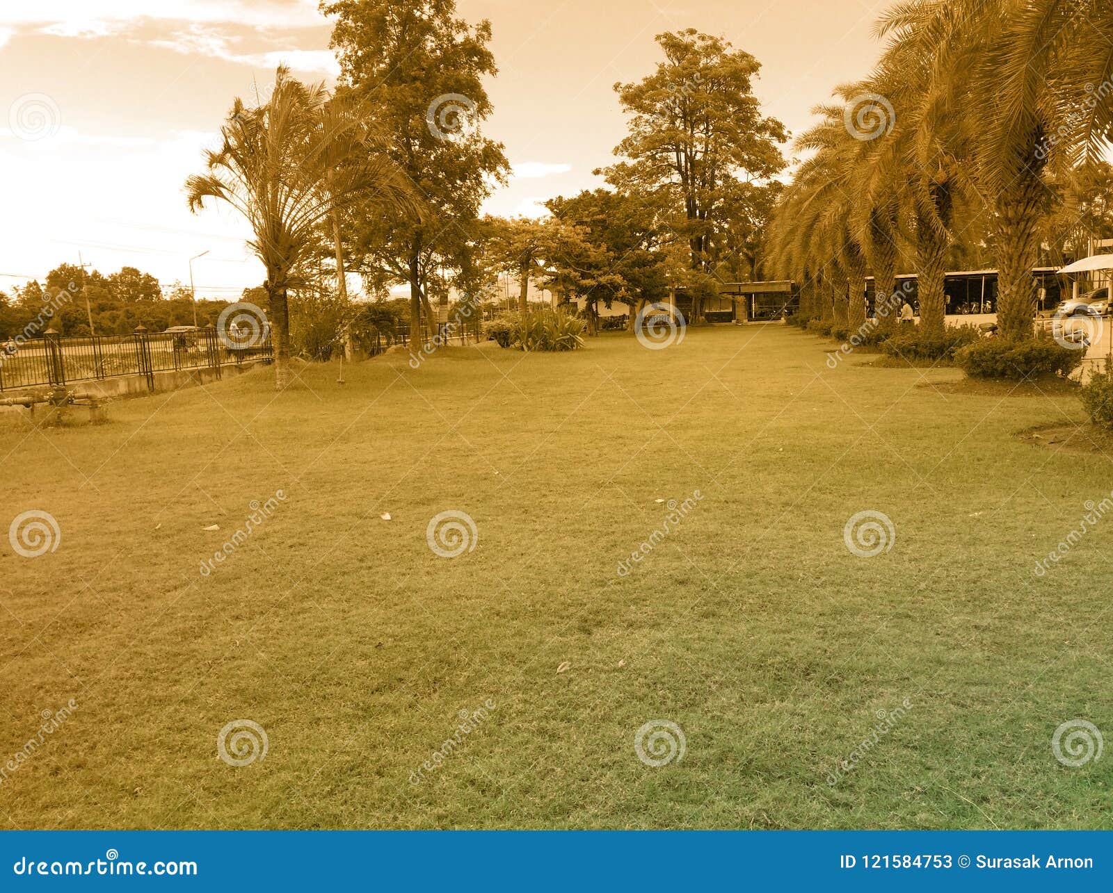 Green grass Lawn and paths stock image. Image of rural - 121584753