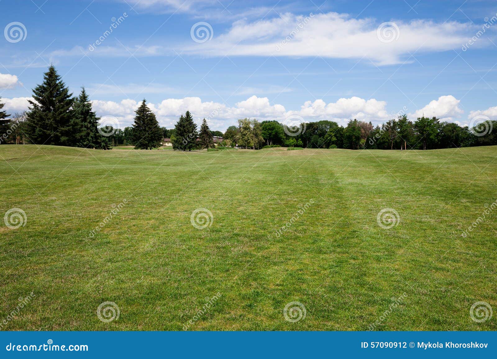 Green grass lawn stock photo. Image of countryside, woodland - 57090912
