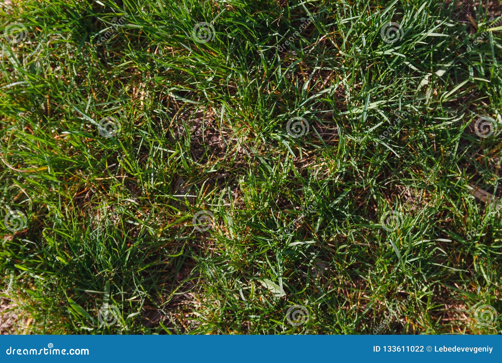 Green Grass with Layers of Earth Spring Background Stock Photo - Image ...