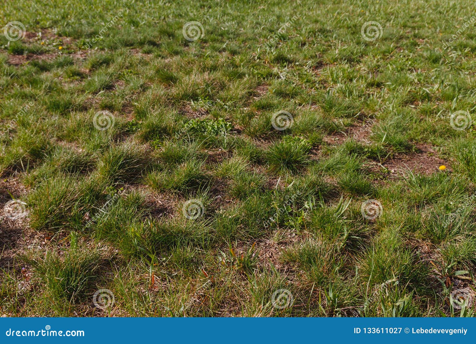 Green Grass with Layers of Earth Spring Background Stock Image - Image ...