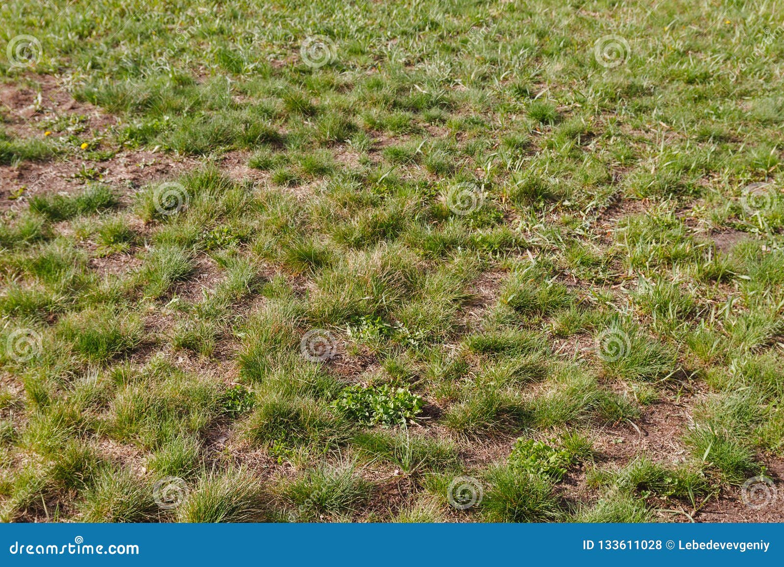 Green Grass with Layers of Earth Spring Background Stock Photo - Image ...