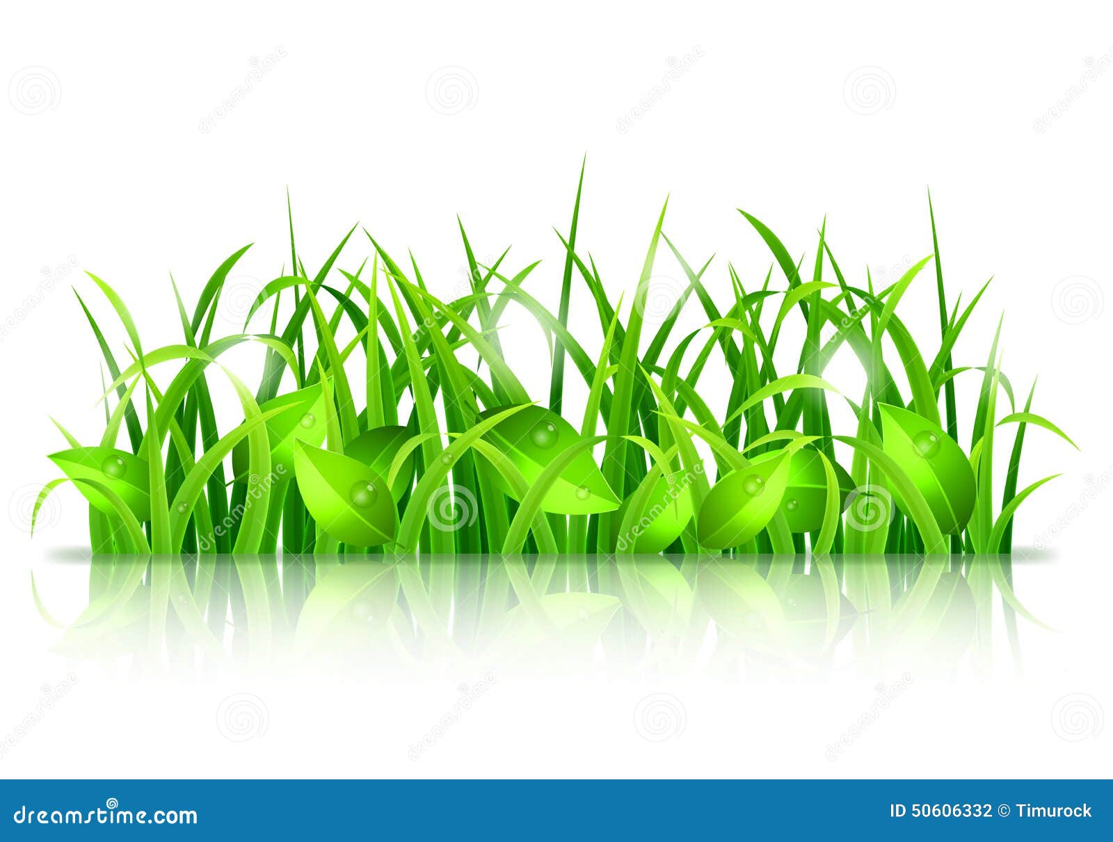 Green Grass and Leaves stock vector. Illustration of nature - 50606332