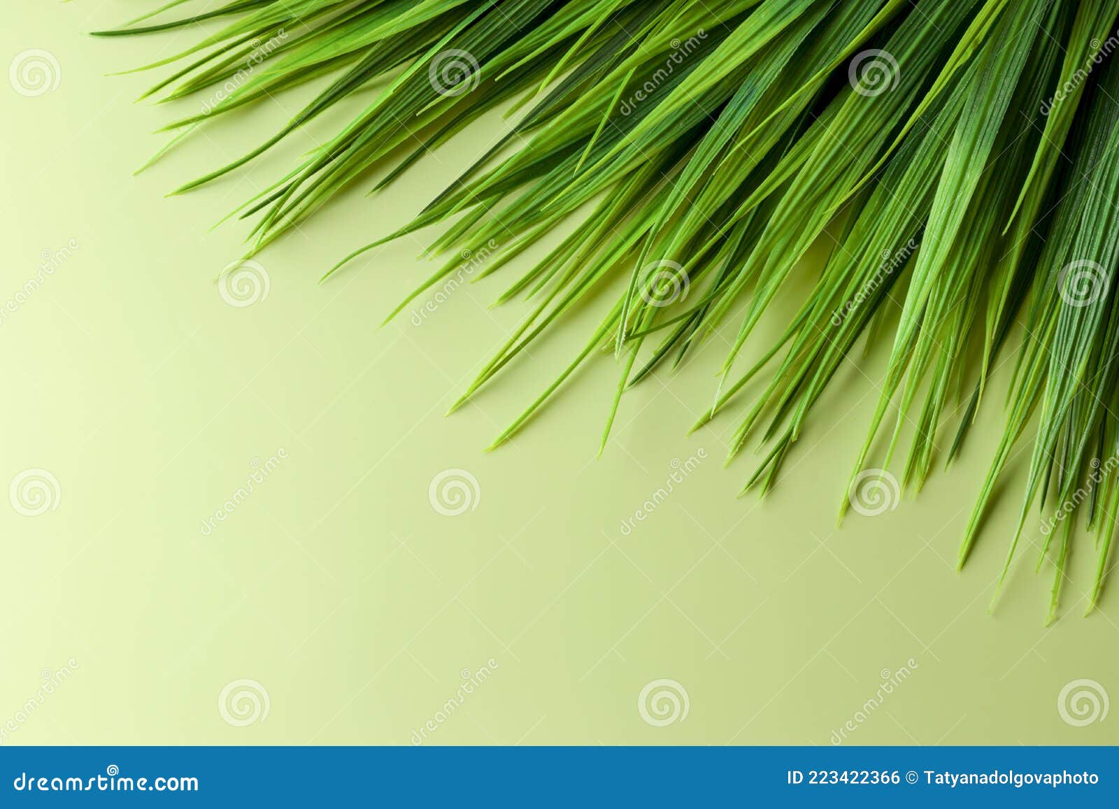 Green Grass on a Light Background, Flat Design and Corporate Identity ...