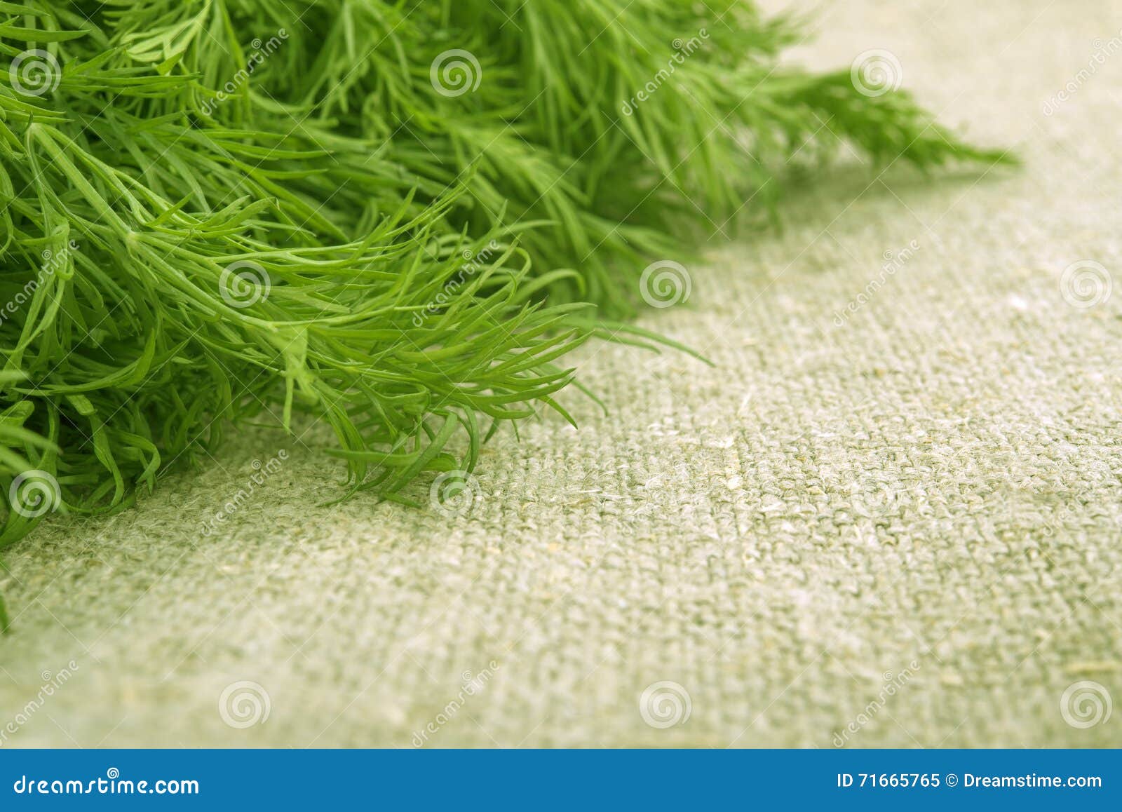 Green Grass Linen Background Stock Image - Image of plaid, linen: 71665765