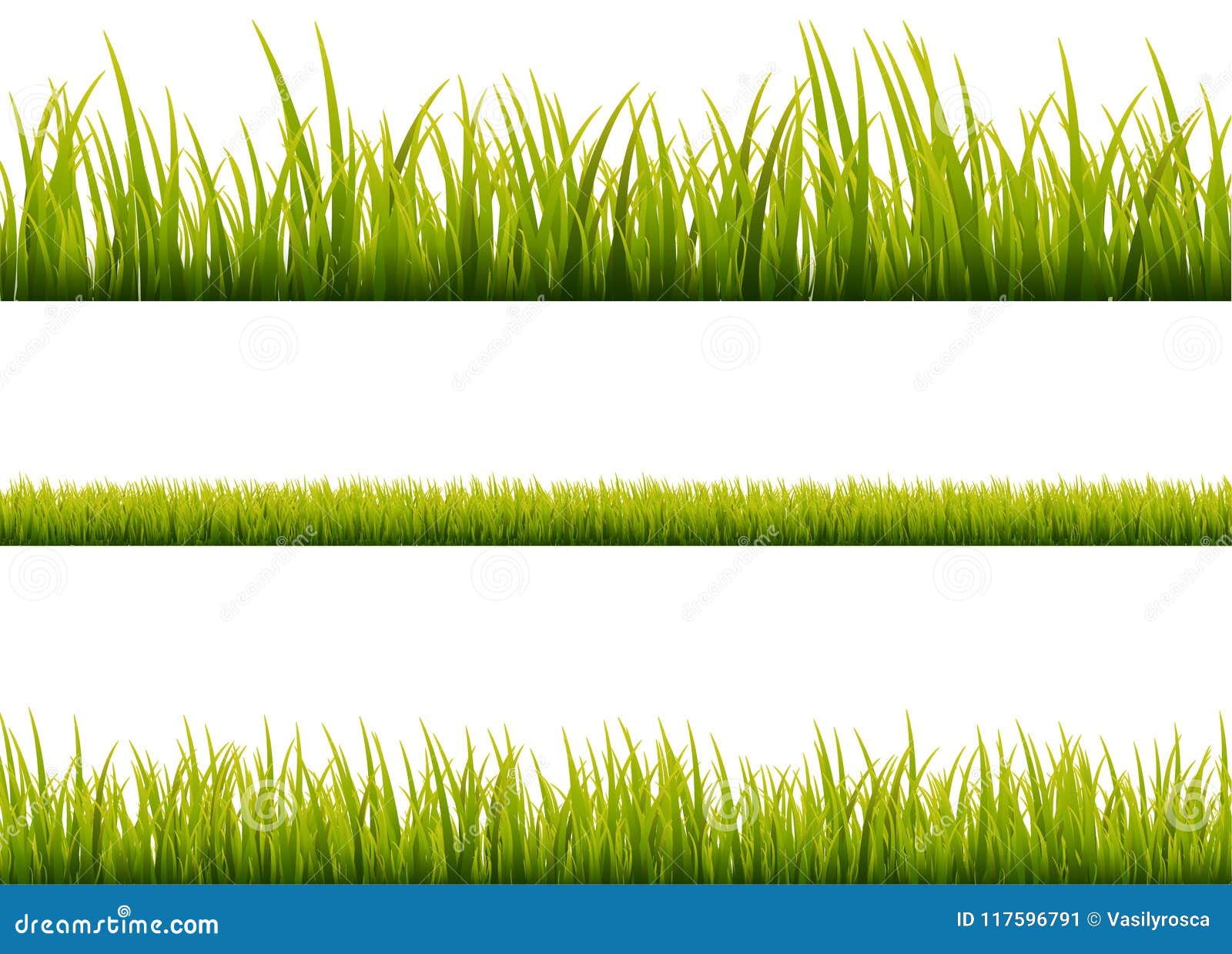 Green Grass Meadow Border Vector Pattern. Spring Or Summer Plant Field ...