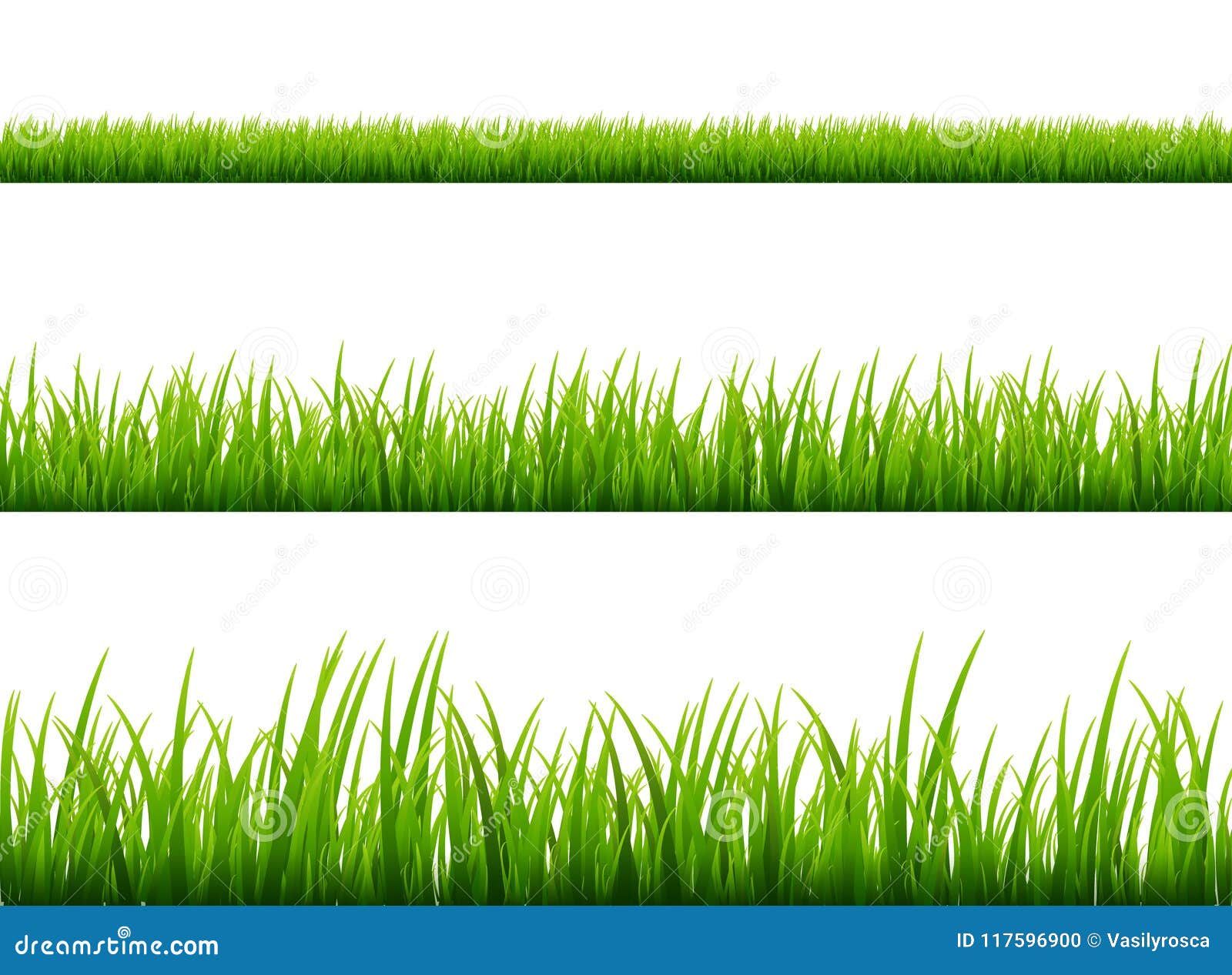 Green Grass Meadow Border Vector Pattern. Spring or Summer Plant Field ...