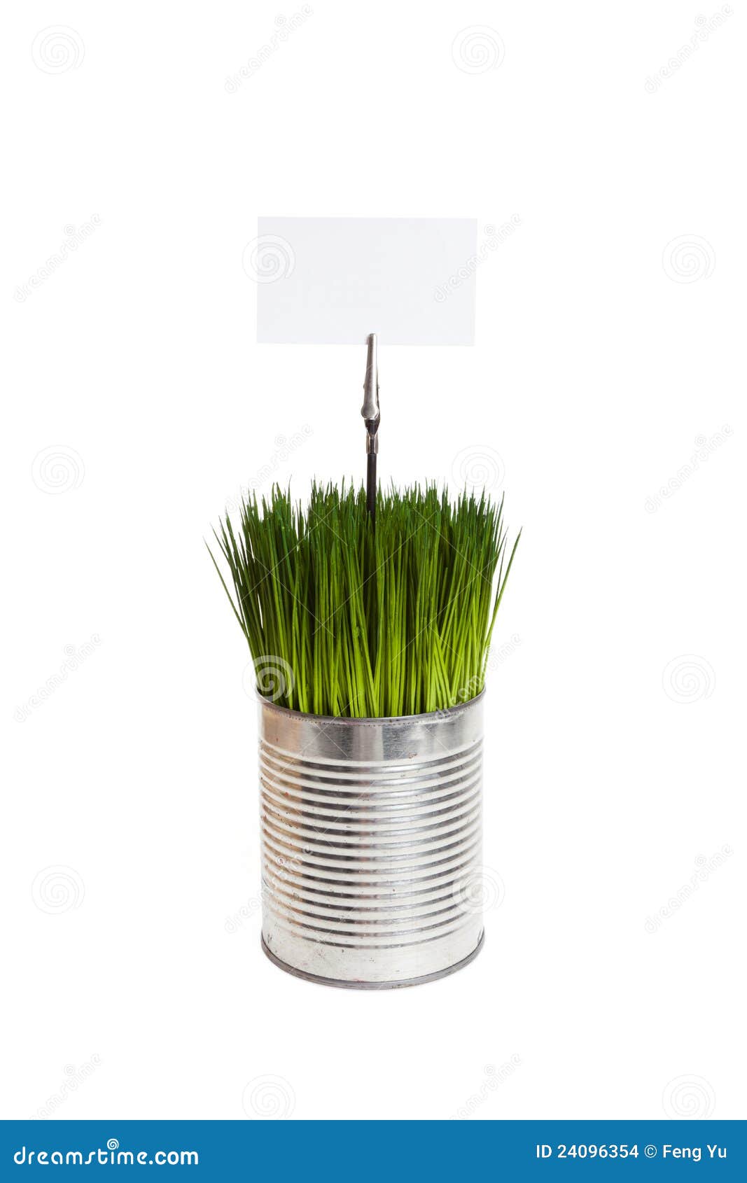 Green grass and metal can stock photo. Image of copy - 24096354