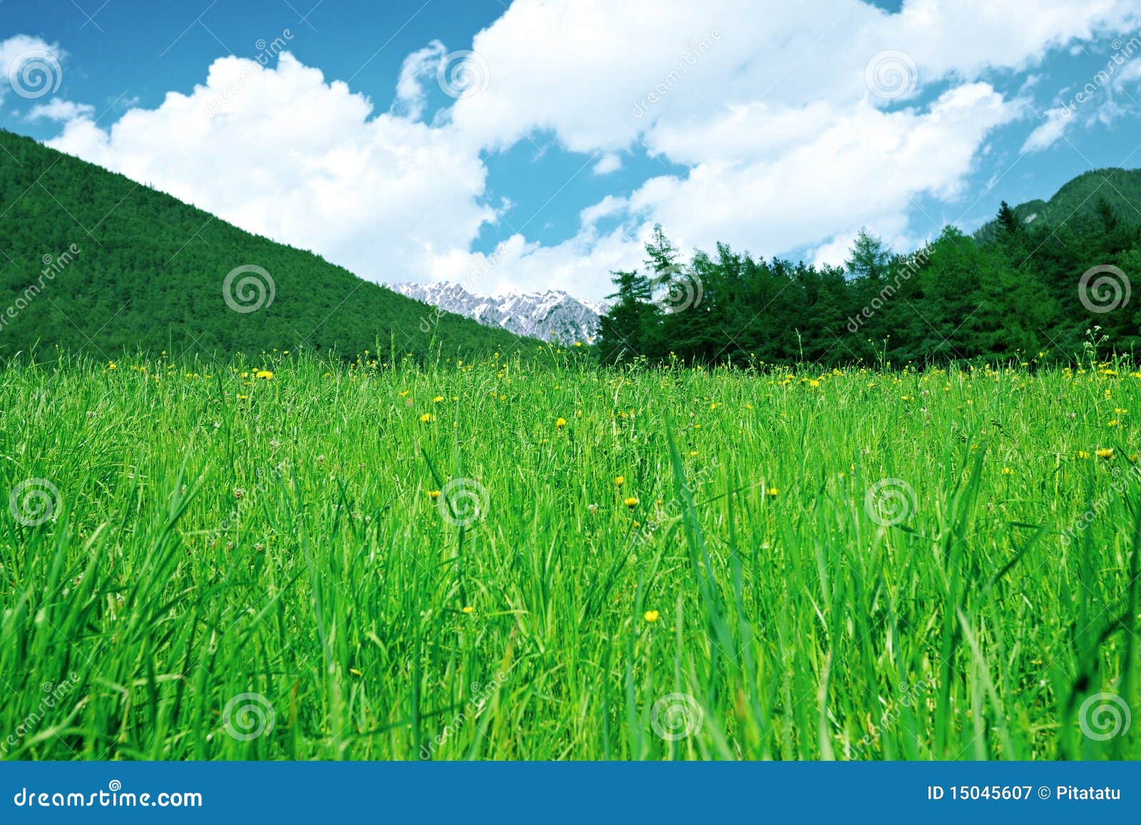 Green Grass, Mountains and Forest Below Clouds. Stock Image - Image of ...