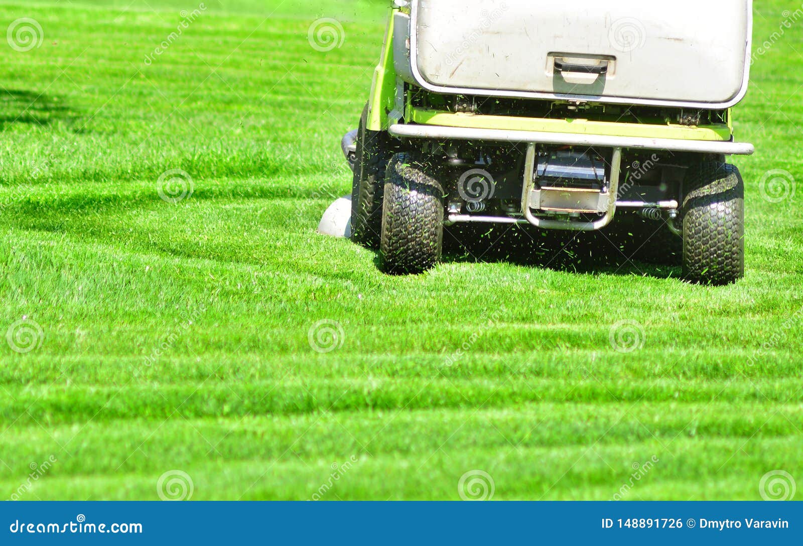 Green Grass Mowing with Professional Lawn Mower Stock Photo - Image of ...