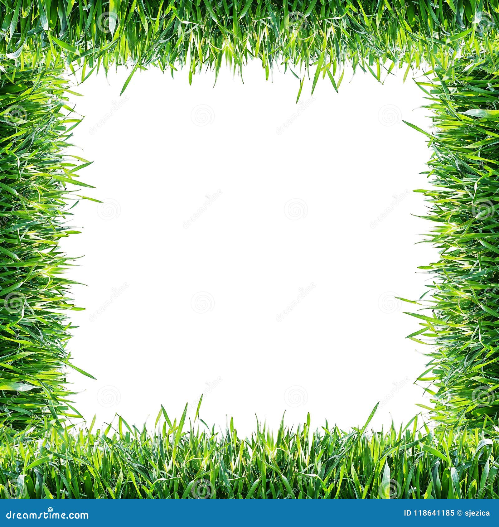 Green grass. Natural frame stock image. Image of foliage - 118641185