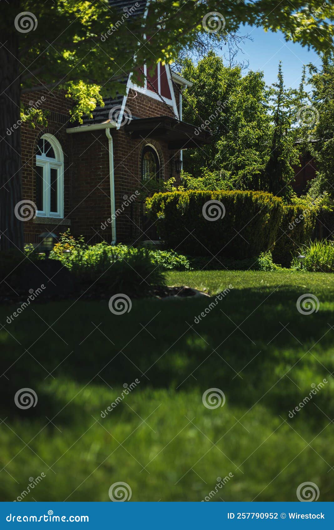 Green Grass Outside the Lawn of the House Stock Photo - Image of flower ...