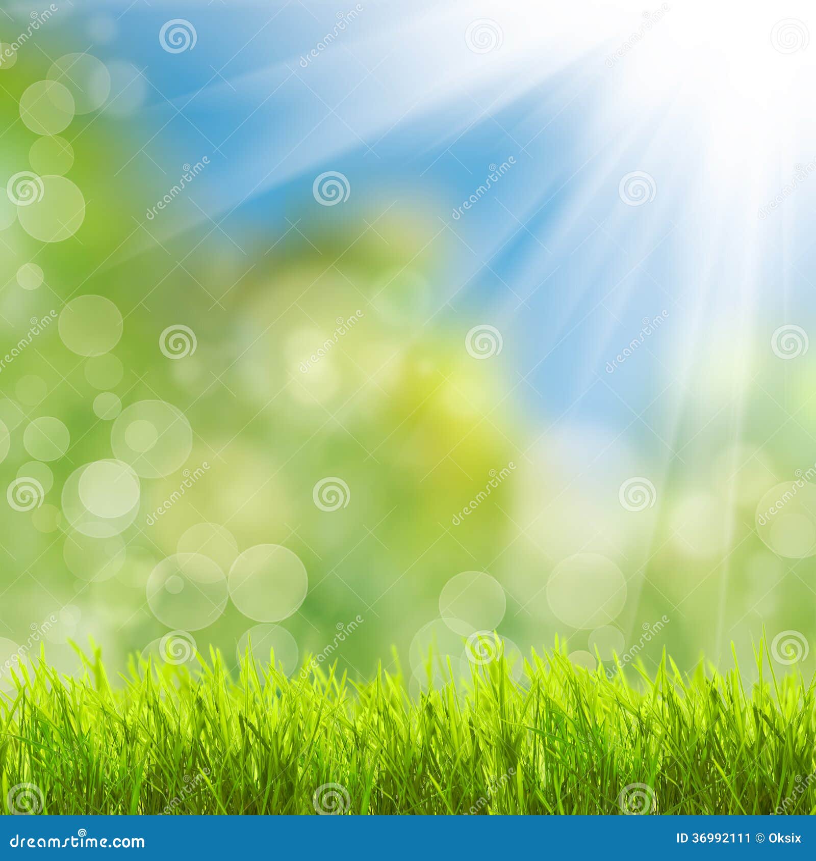 Green grass over sunlight stock image. Image of abstract - 36992111