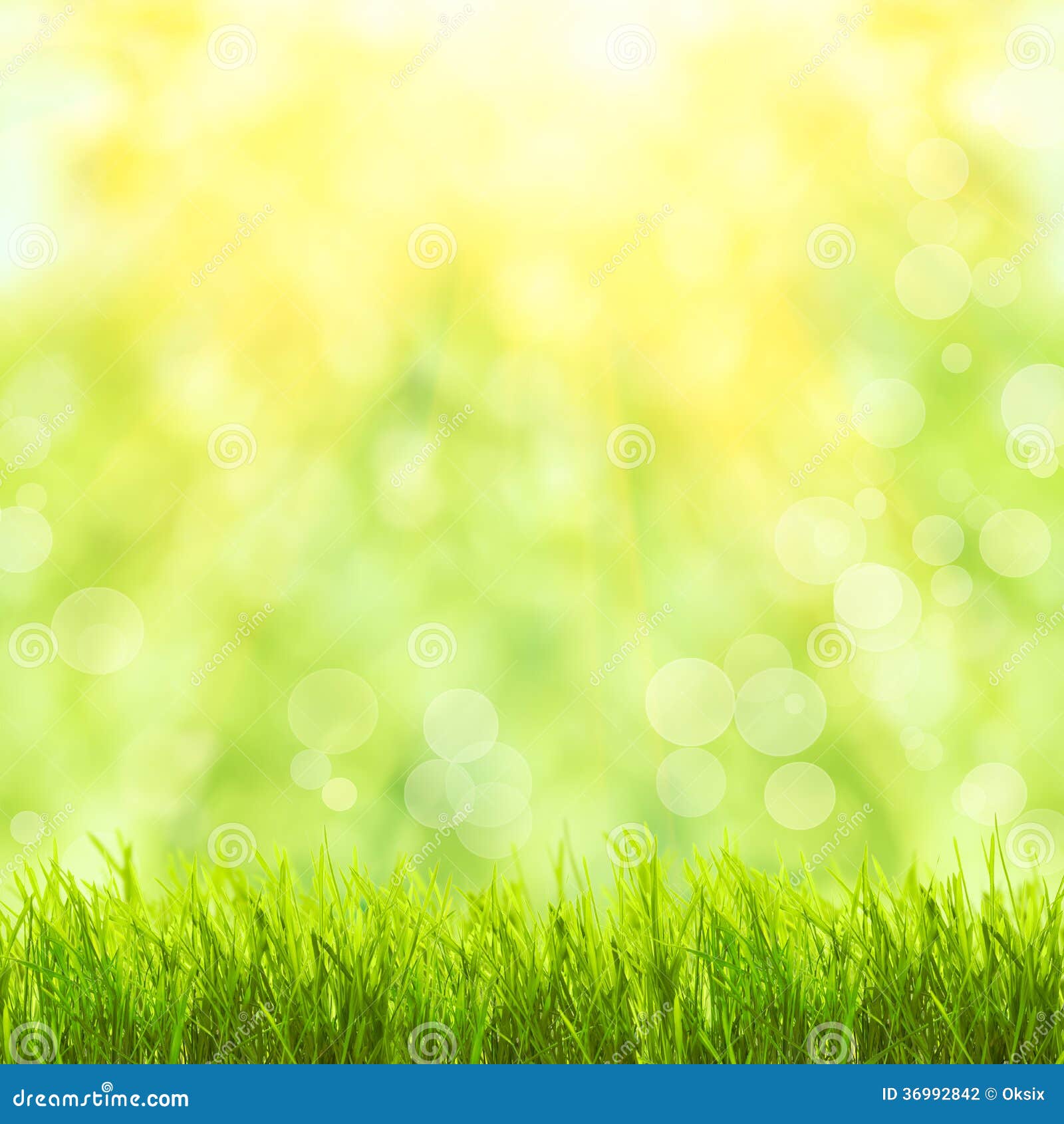 Green grass over sunlight stock photo. Image of design - 36992842