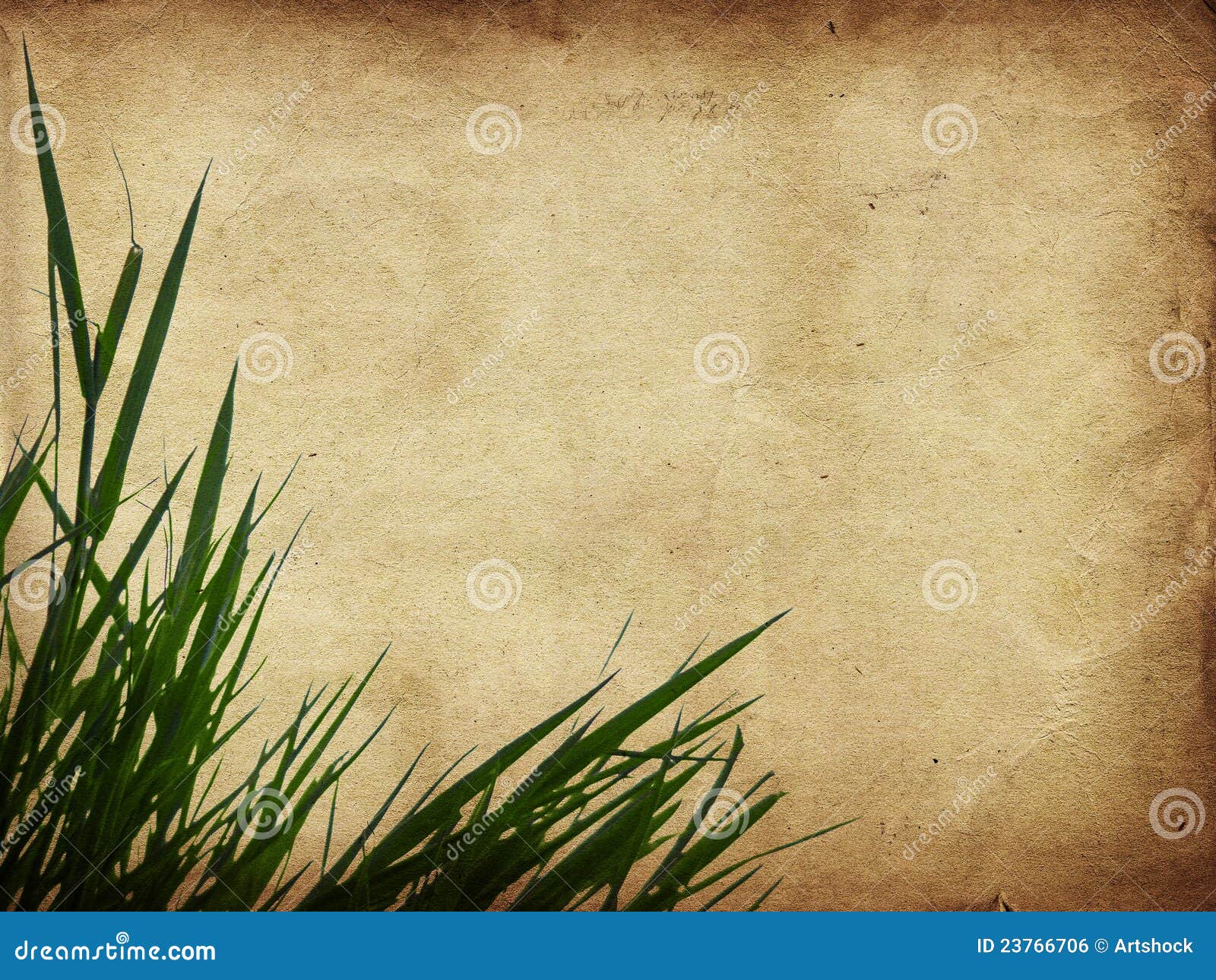Green grass on paper stock photo. Image of grow, nature - 23766706