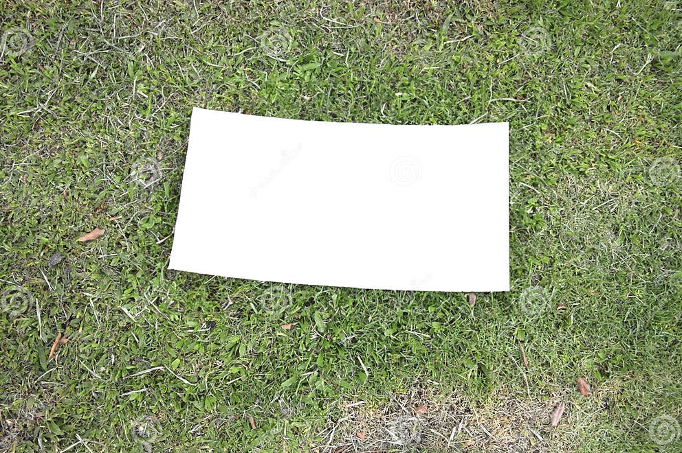 Green grass on a paper stock image. Image of frame, note - 296816363