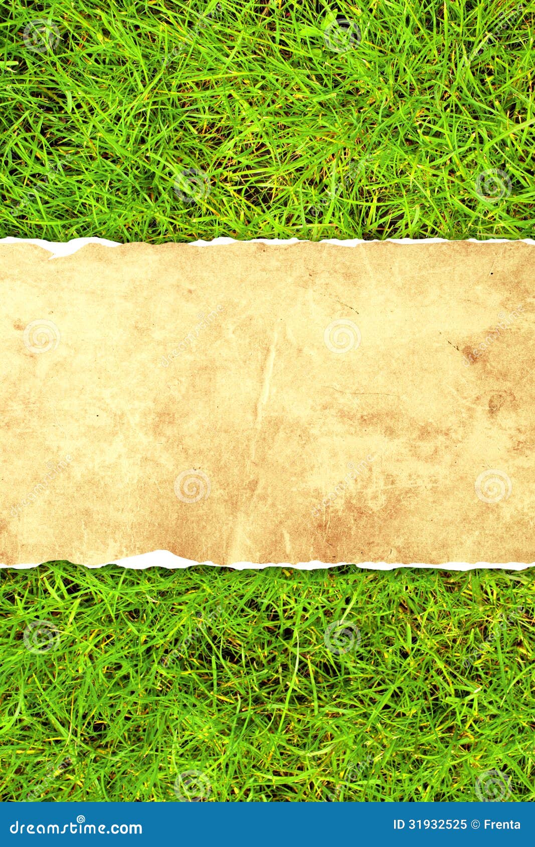 Green grass and paper stock image. Image of message, information - 31932525