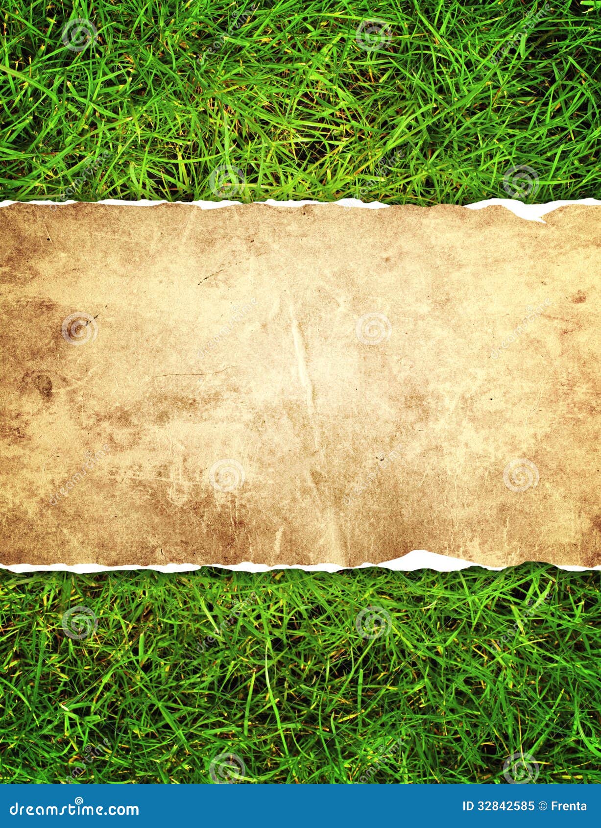 Green grass and paper stock image. Image of background - 32842585