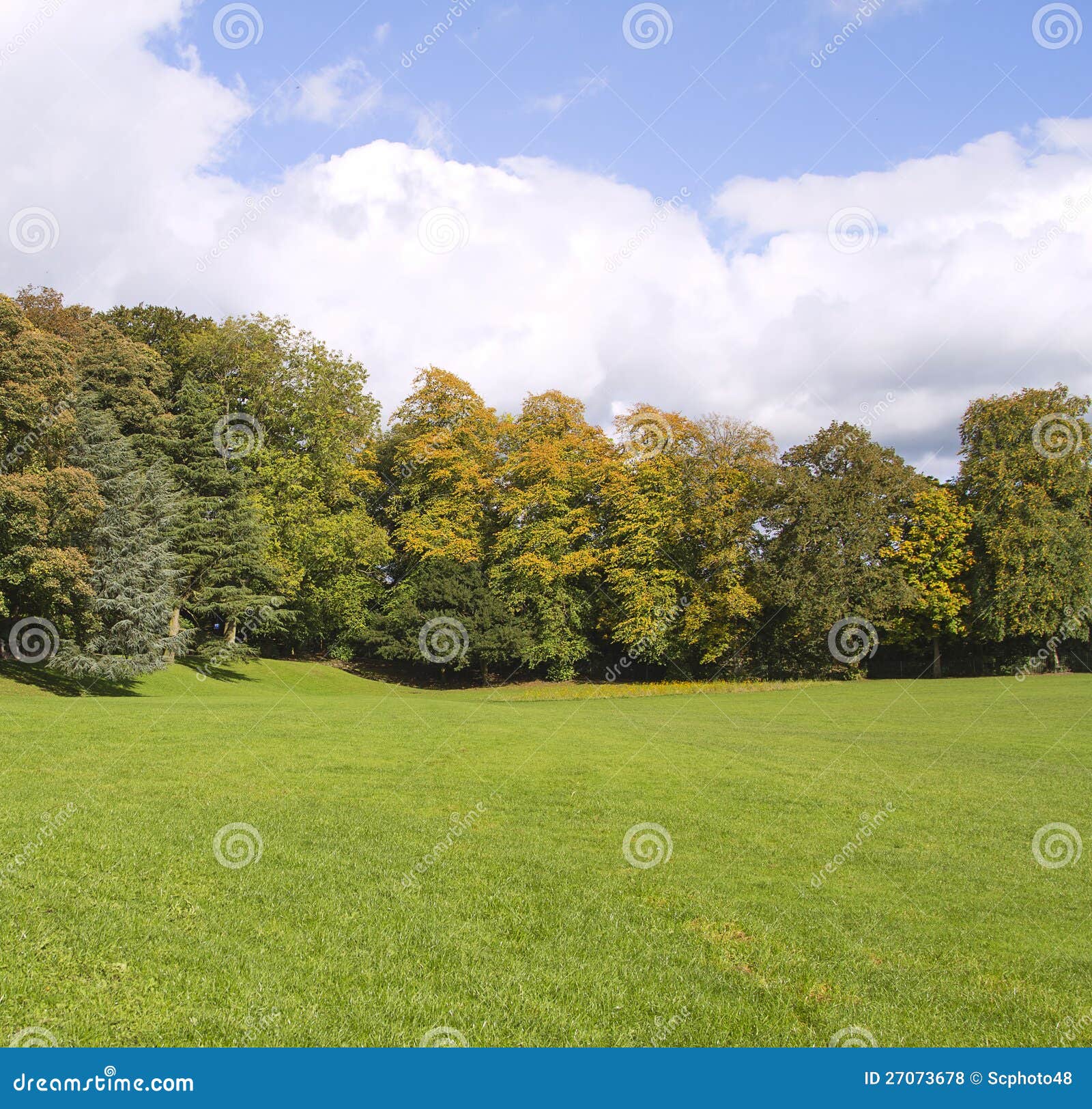 Green grass park stock photo. Image of parkland, lawn - 27073678