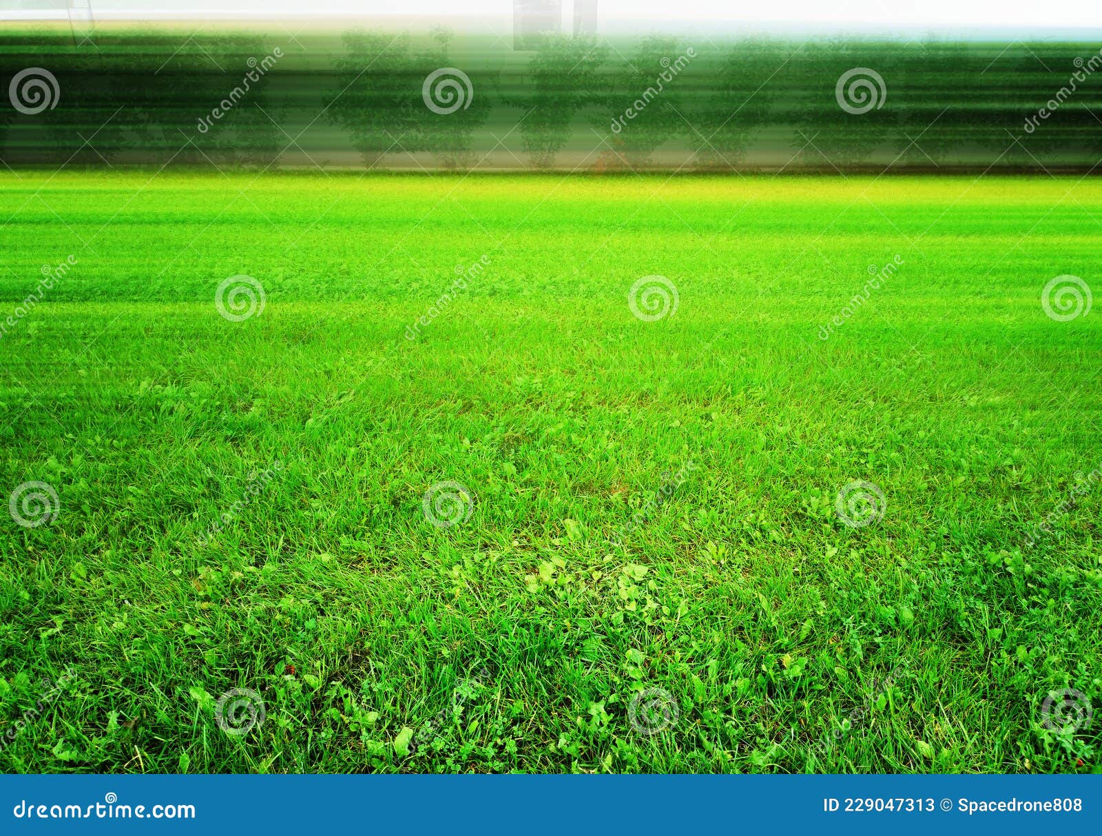 Green Grass Park Lawn Abstract Background Stock Image - Image of align ...