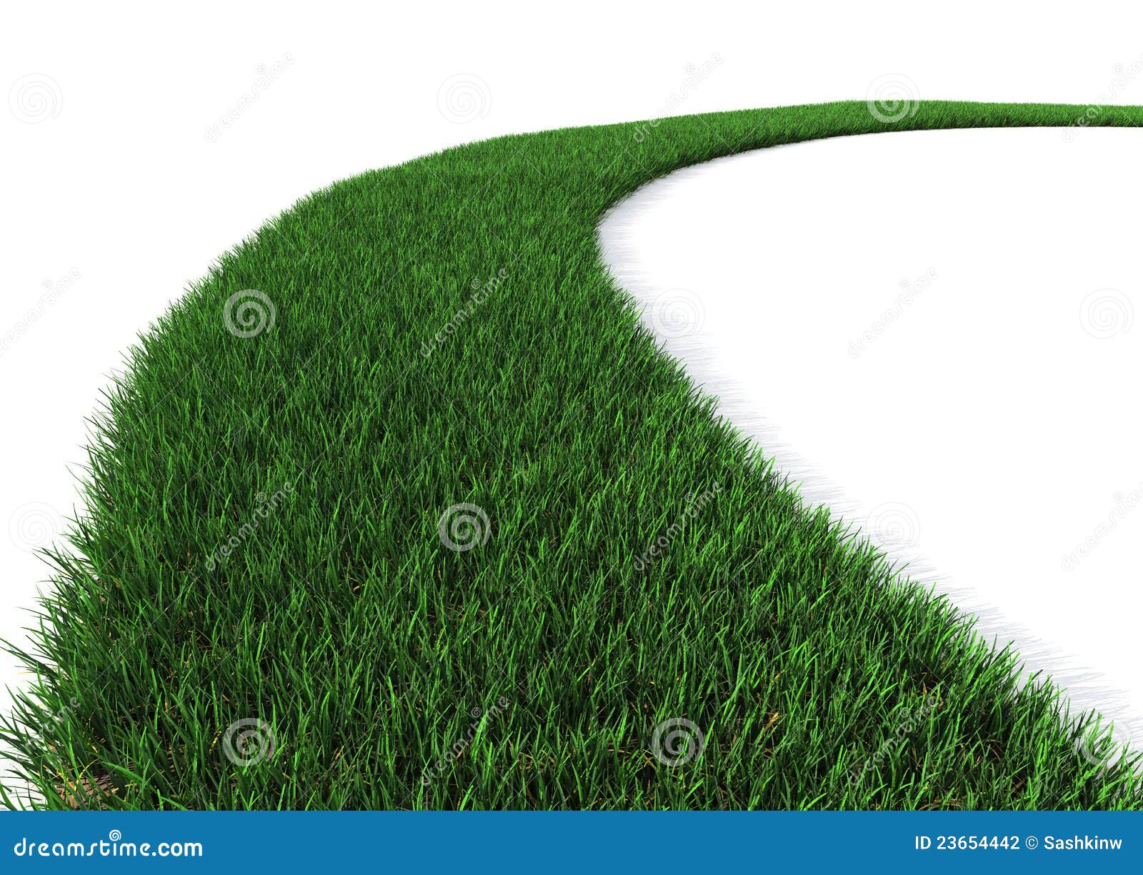 Green Grass path stock illustration. Illustration of grow - 23654442